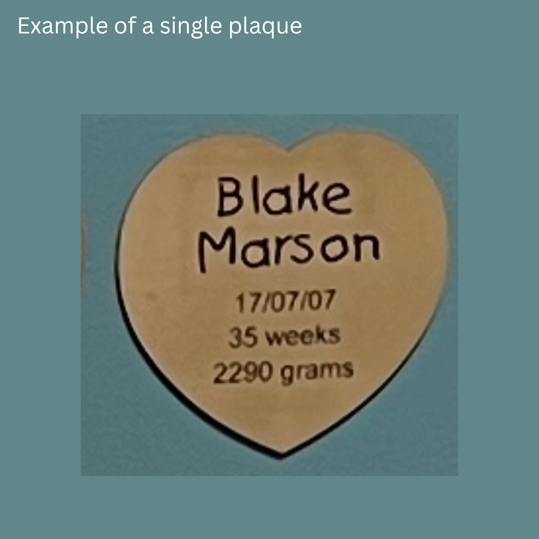 Miracle Wall Single Plaque - Miracle Babies