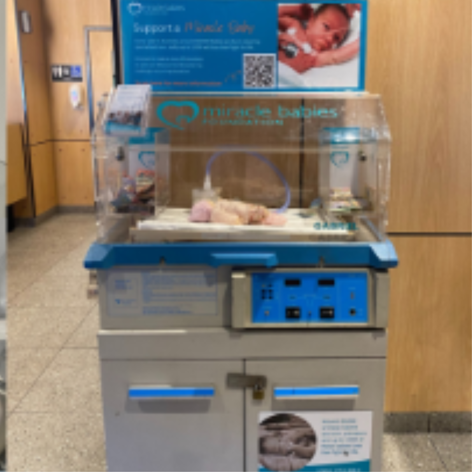 Seasons in Teal - Miracle Babies